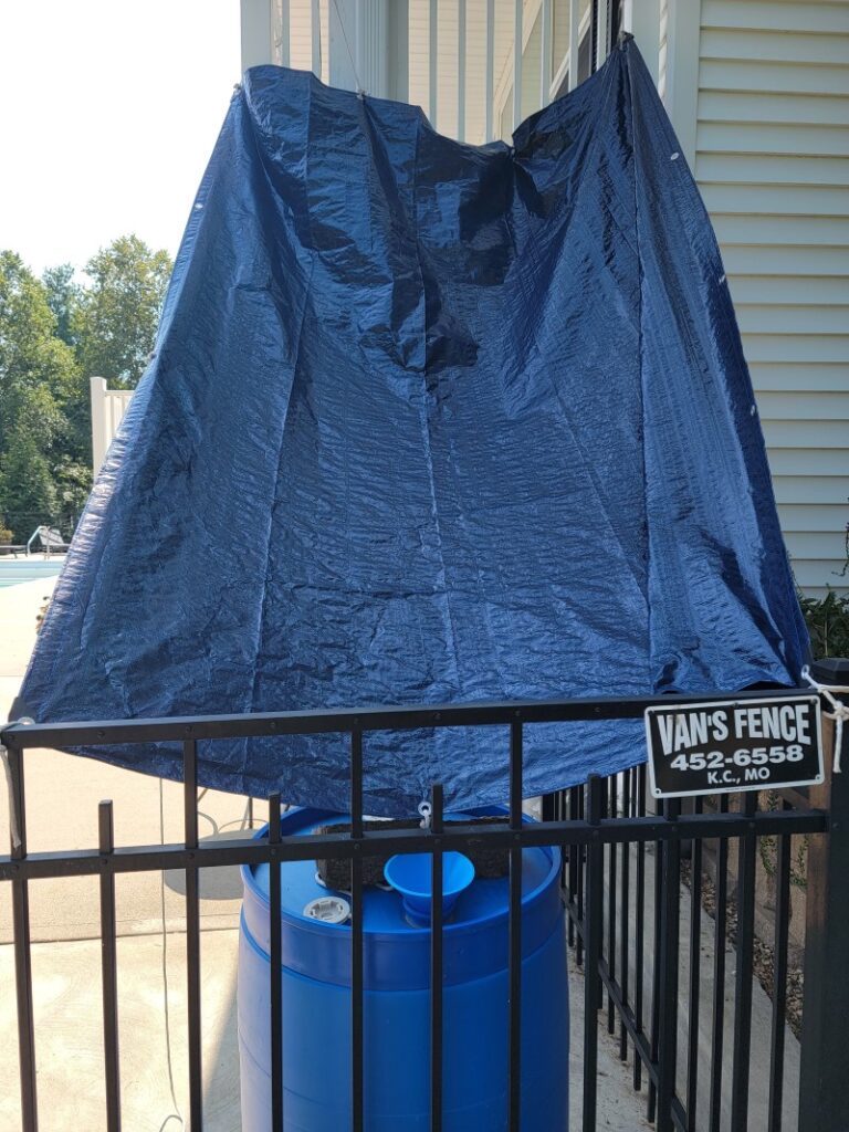 Small Rainwater Catch, Does It Work? – reThinkSurvival.com