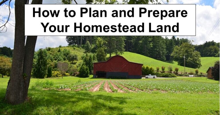 How to Plan and Prepare Your Homestead Land – reThinkSurvival.com