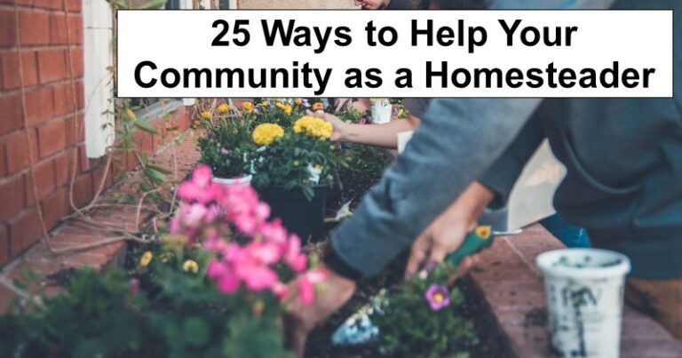 25 Ways You Can Help Your Community as a Homesteader – reThinkSurvival.com 25 Ways You Can Help Your Community as a Homesteader – reThinkSurvival.com