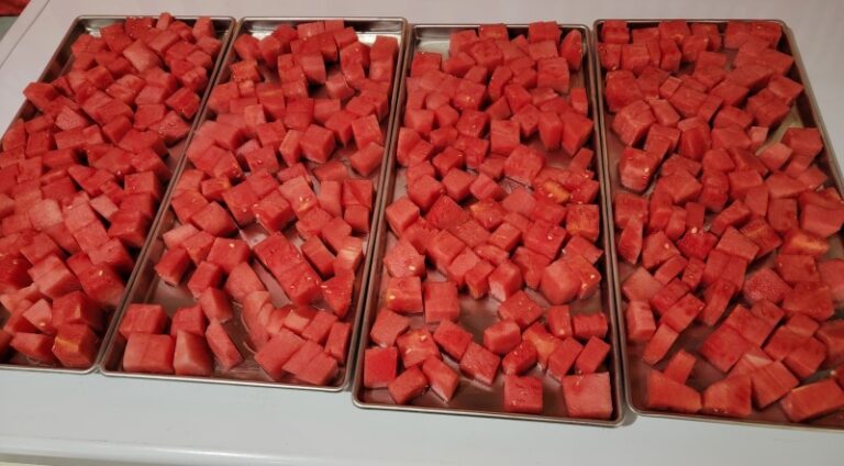 Freeze-Dried Watermelon – reThinkSurvival.com